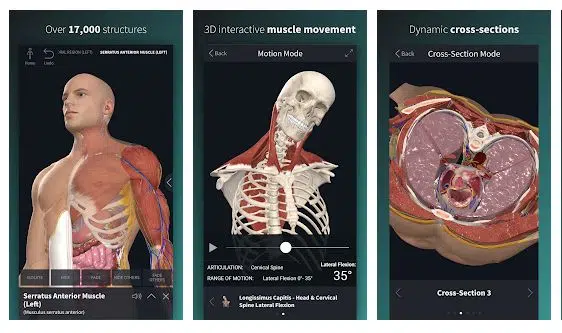 Top Medical Apps for Patients and Doctors