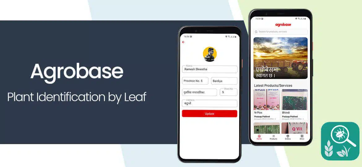 Plant Identification Apps For iOS and Android (Updated 2023)