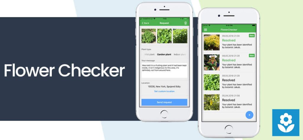best free plant identification app | Top Plant Identification App