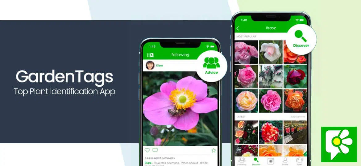 Plant Identification Apps For iOS and Android (Updated 2023)