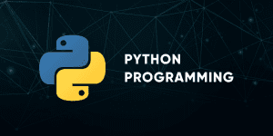 Best Programming Languages For Blockchain App Development