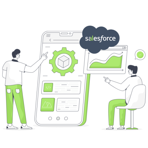Leading Salesforce Development Company Echoinnovate It